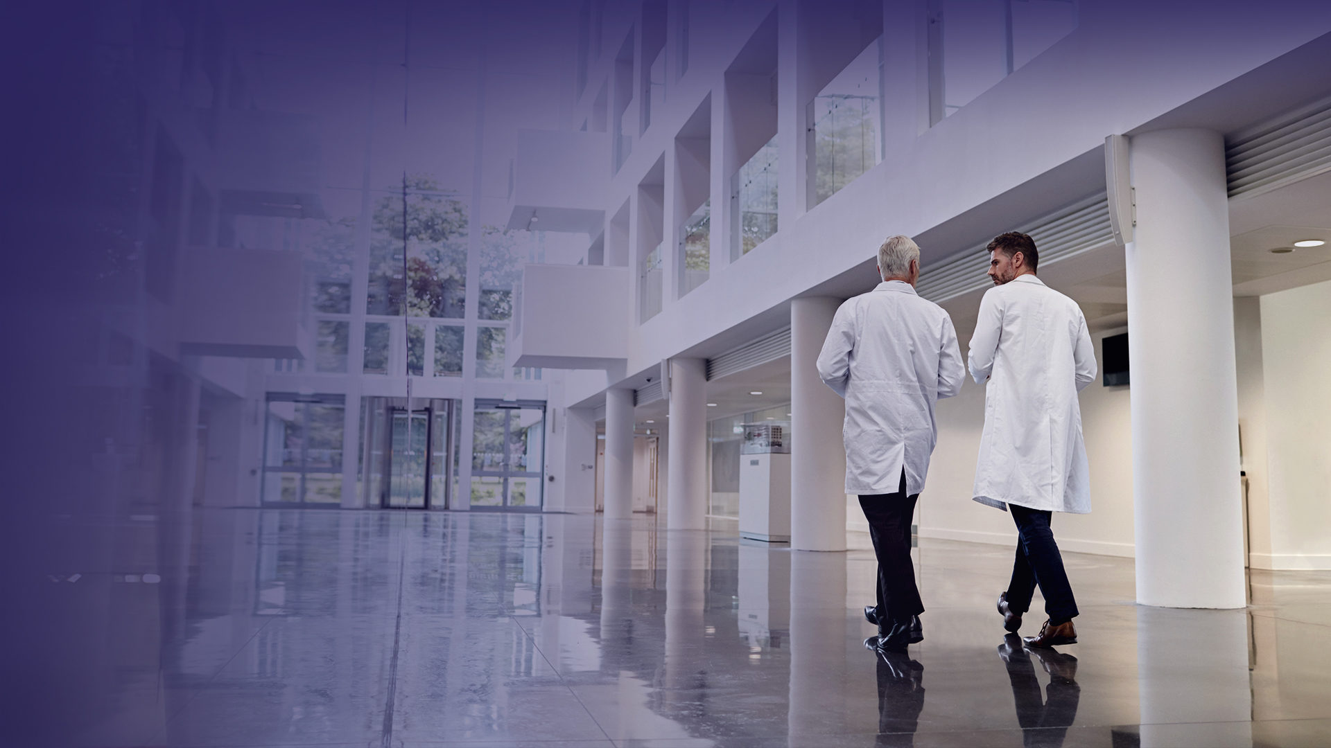 The Importance of Cultural Alignment in the Recruitment of Specialist ...